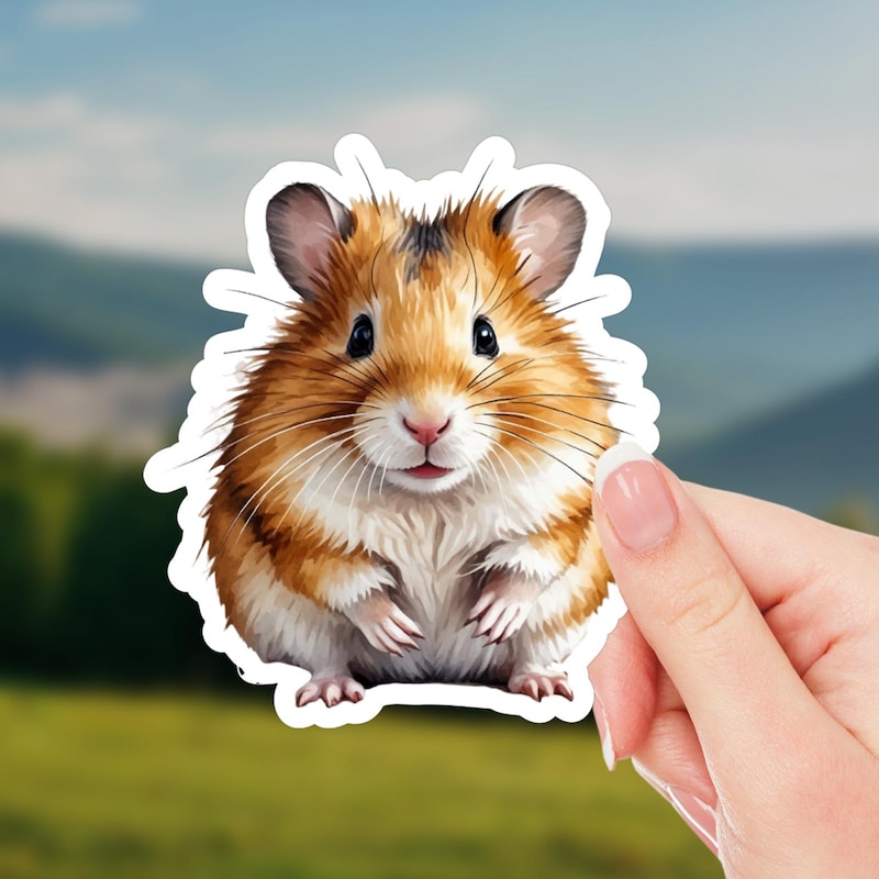 Hamster Stickers - Etsy