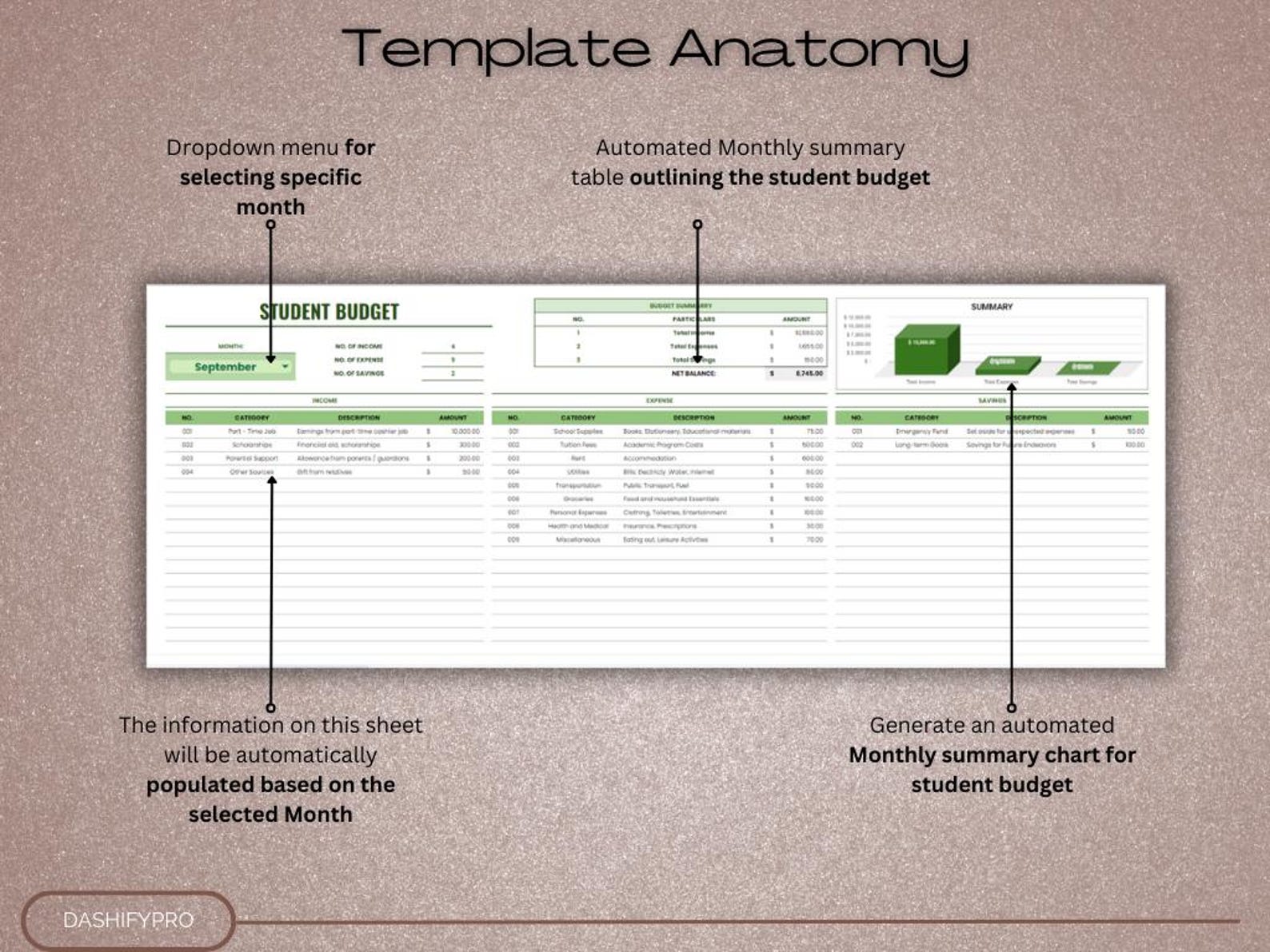 Budget for Students Spreadsheet Google Sheets Template Digital Academic ...