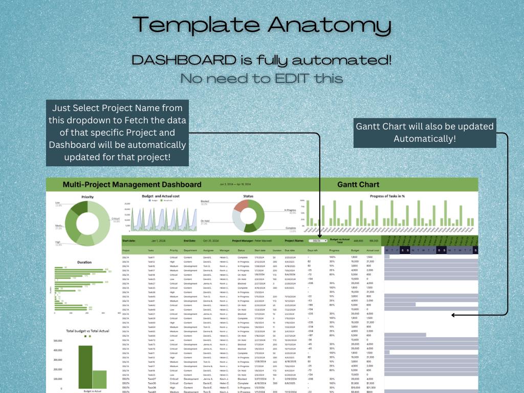 Project Management Dashboard | Multi-projects Dashboard | Multiple ...