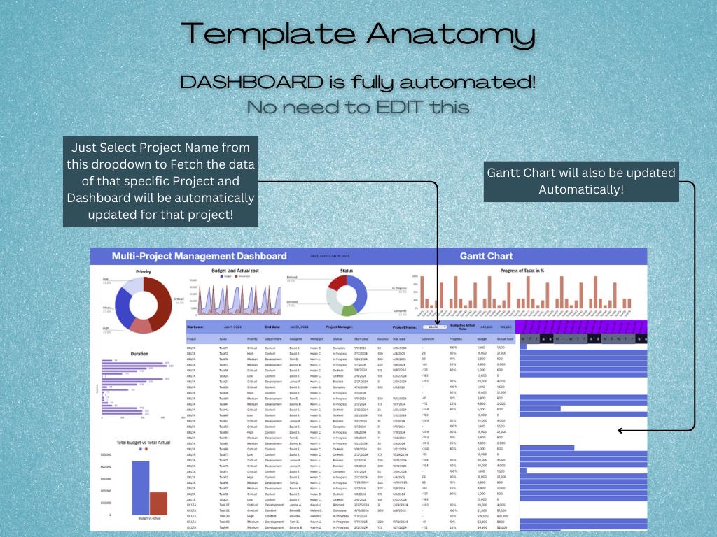 Project Management Dashboard | Multi-projects Dashboard | Multiple ...