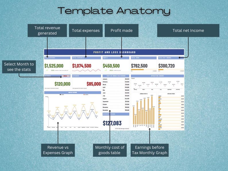 Profit and Loss Dashboard Google Sheets: P and L Statement, Profit ...