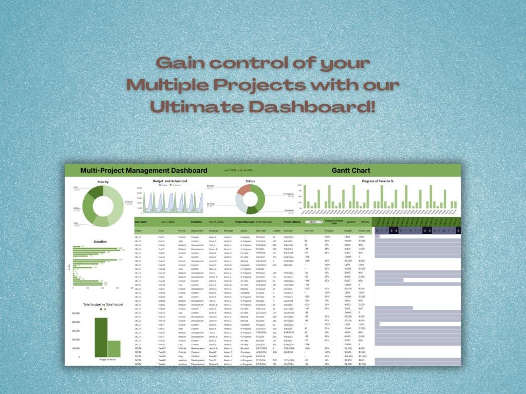 Project Management Dashboard | Multi-projects Dashboard | Multiple ...