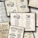 Printable Vintage BOOK, Old Pages/ Old Book /vintage Book / Collage ...
