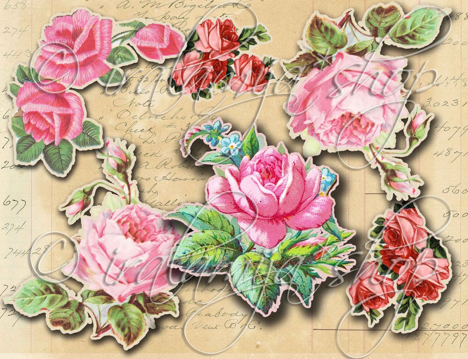 CUT OUT Roses No. 4 Printable Digital Images / Printable Roses ...