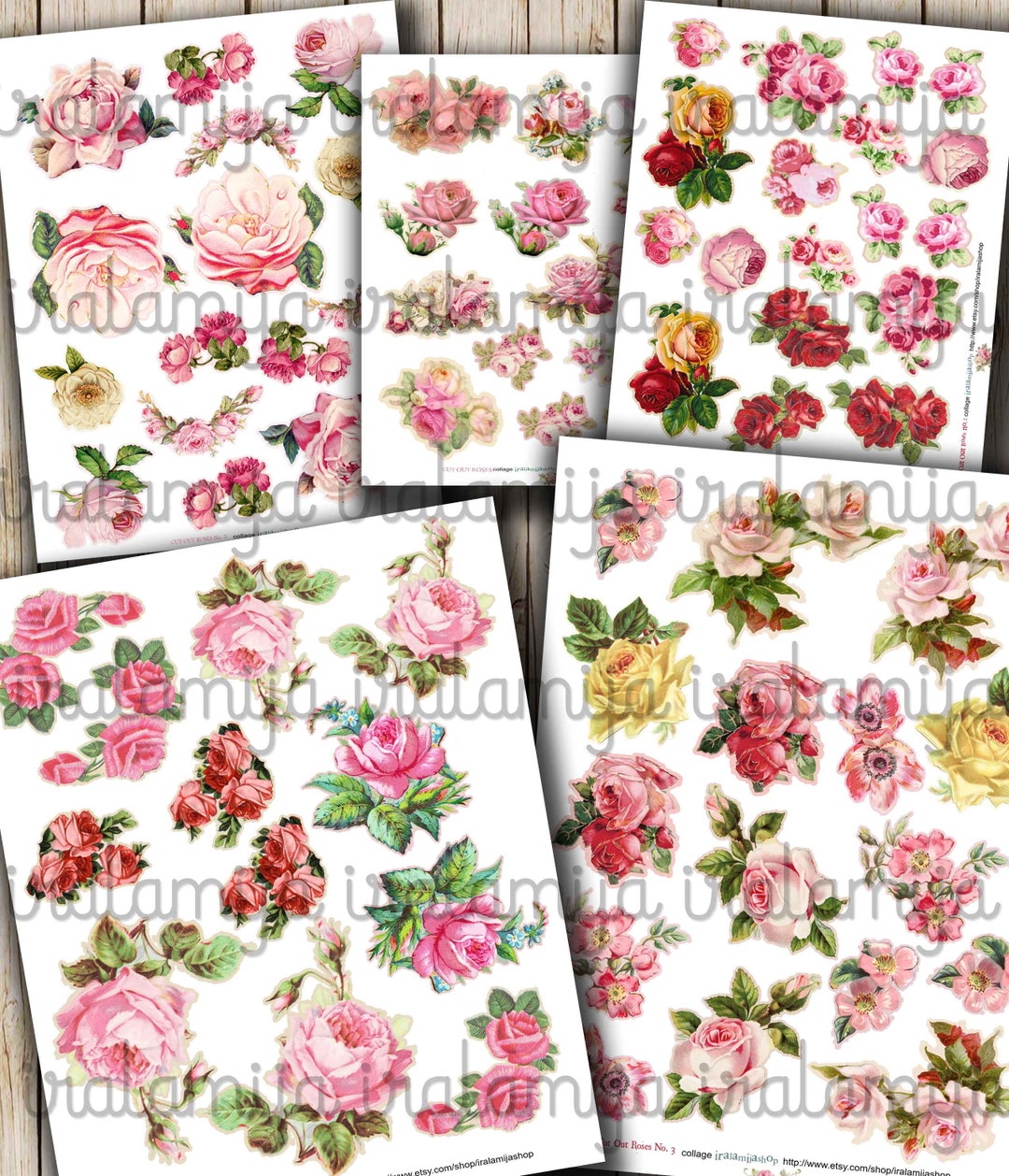 Cut Out ROSES Bundlecollage Digital Images / Printable Download/ Roses ...