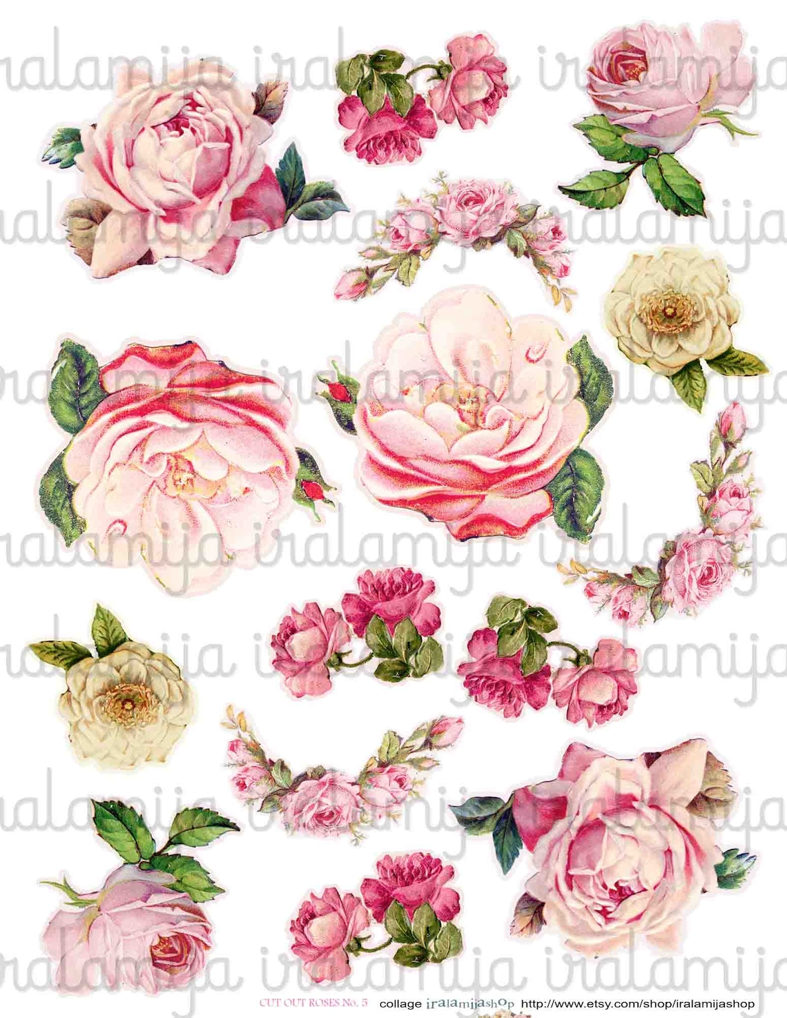 CUT OUT Roses 5 / Digital Images / Printable Roses / Scrapbook - Etsy