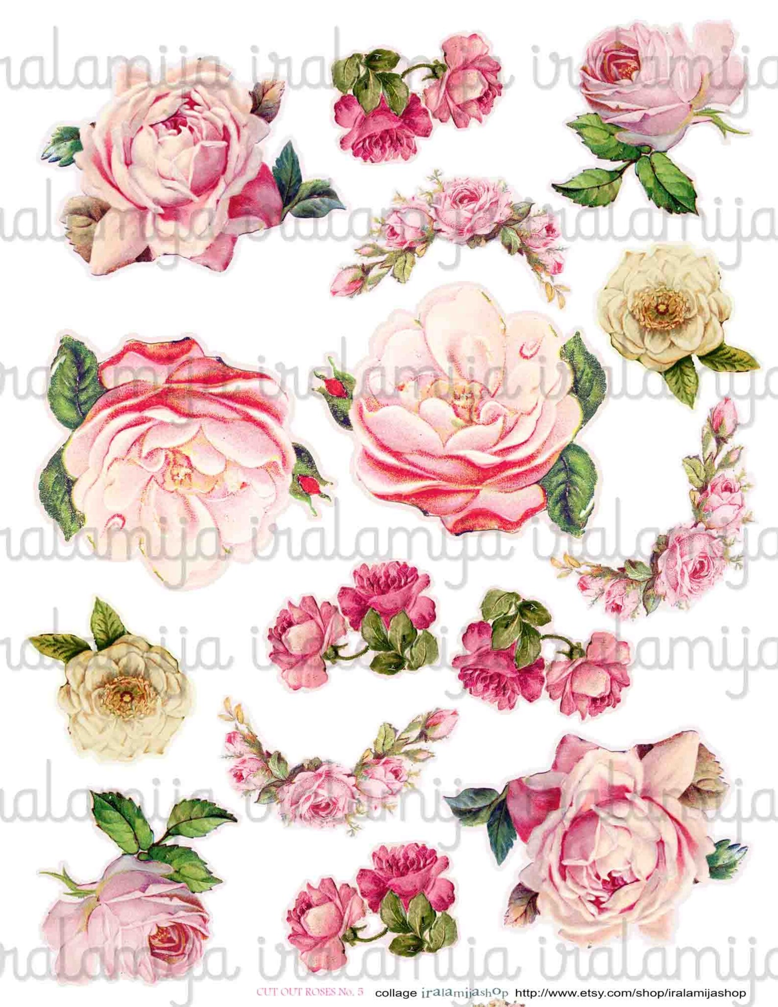 CUT OUT Roses 5 / Digital Images / Printable Roses / Scrapbook - Etsy