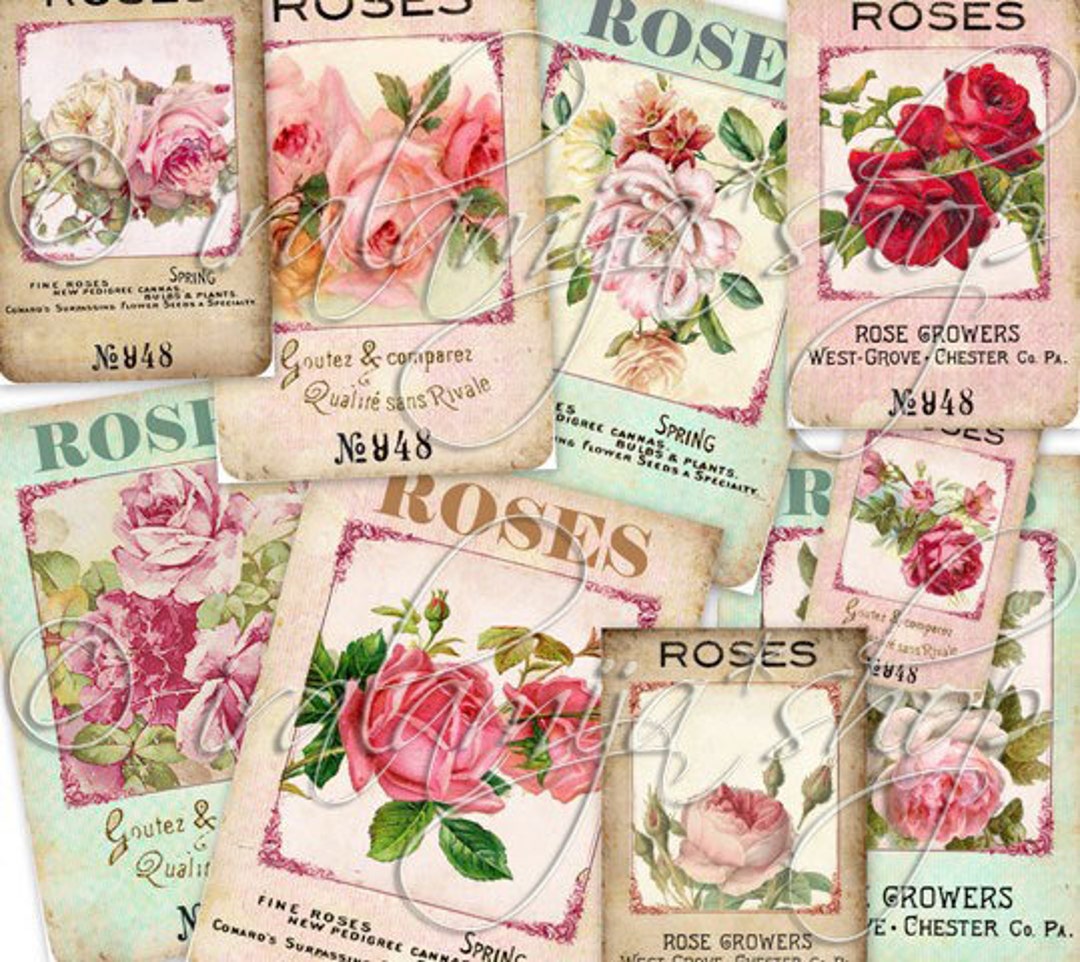 FINE ROSES Printable Images printable Download / Printable Roses/ Roses ...