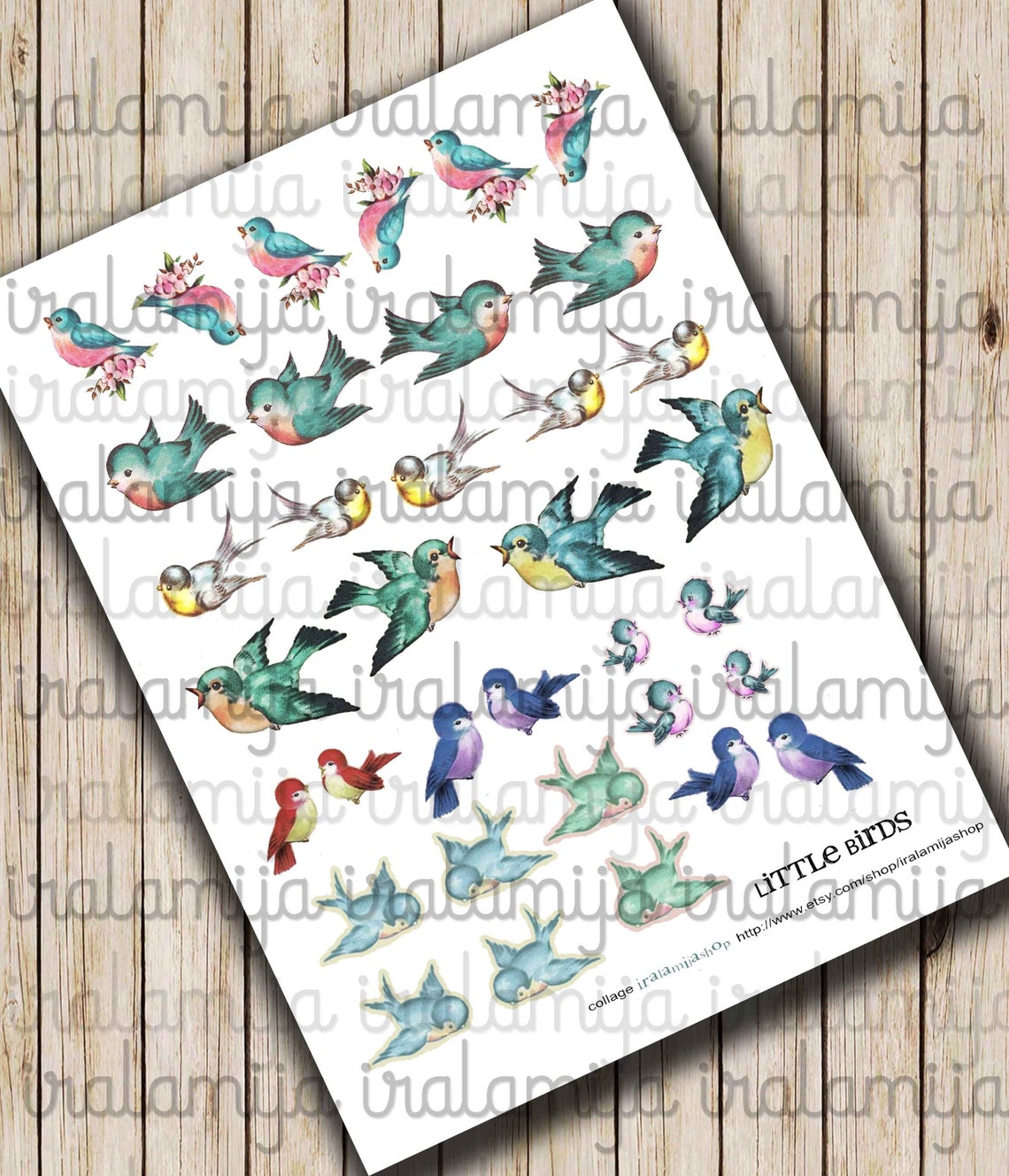 Printable Birds/ LITTLE BIRDS Digital Printable Images / Bird - Etsy