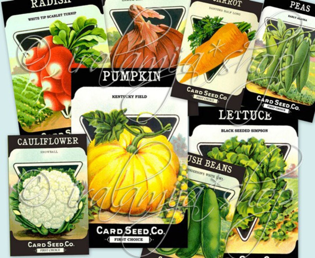 CARD SEED Packets, Junk Journal, Flip Book, Planner, Tags, Ephemera ...