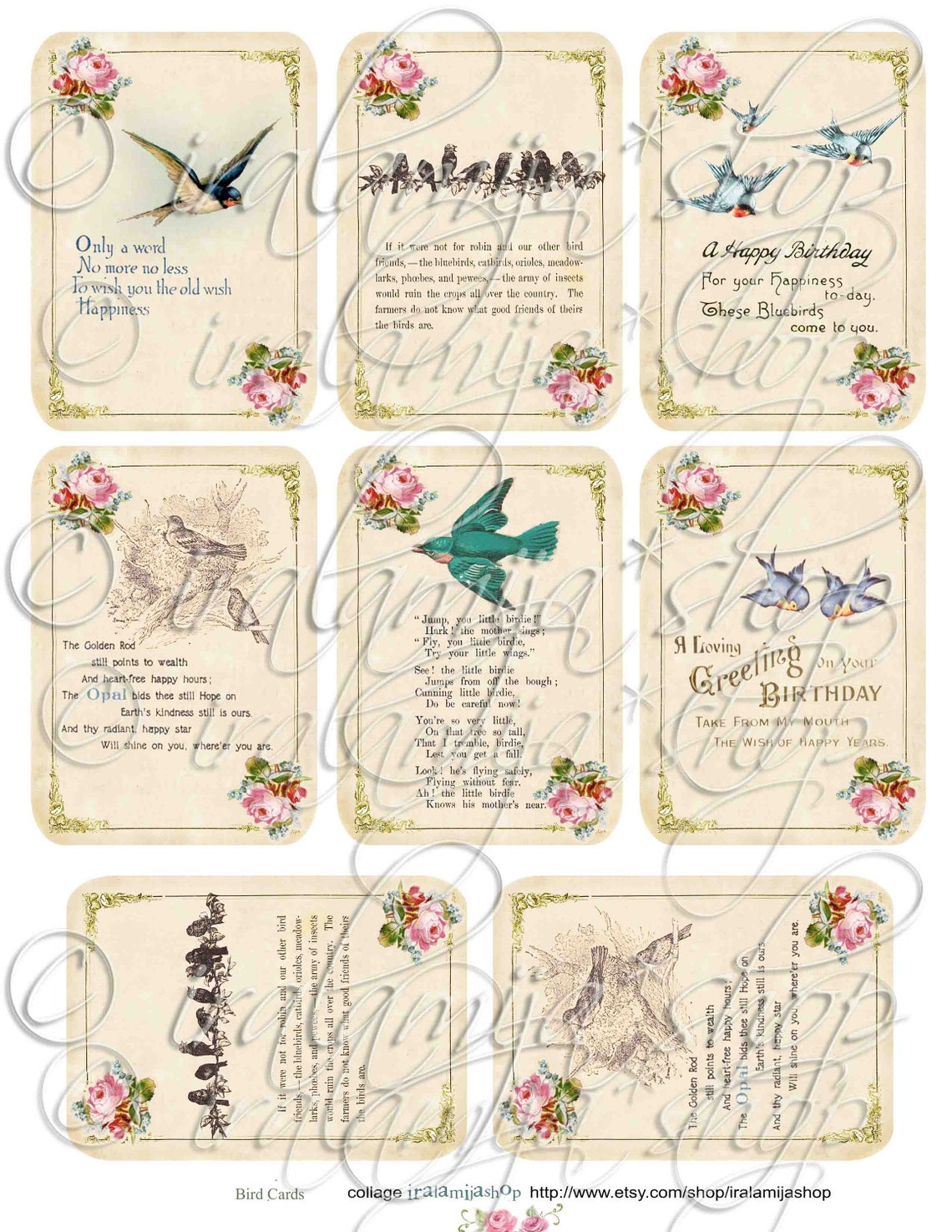 Printable Cards / BIRD CARDS Digital Printable Images / Bird | Etsy