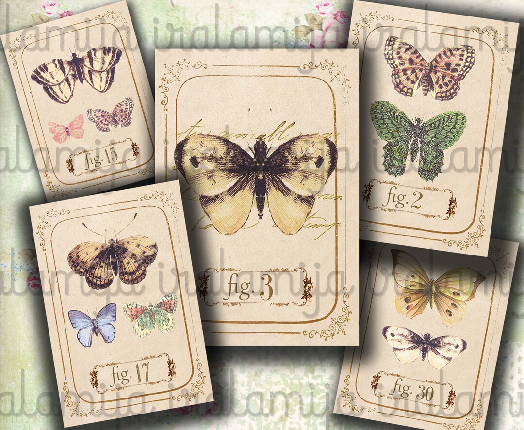 Printable Postcards / BUTTERFLY Cards / Printable Digital Images ...