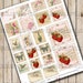 SPRING GARDEN Stamps Cut Outs - FAUX Stamps Digital Images - Download ...