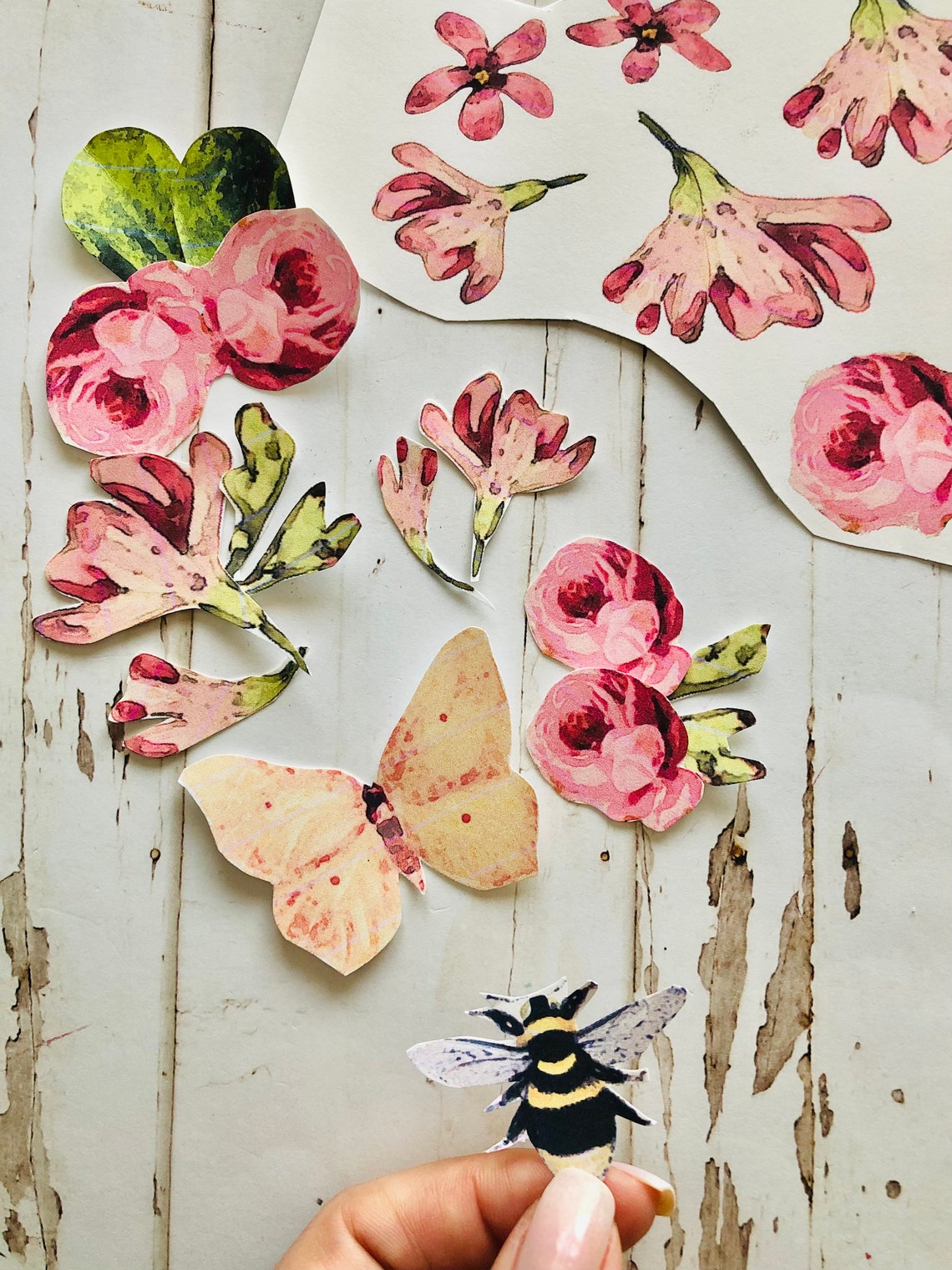 SPRING Watercolor CUT OUT Digital Images / Printable Rose / - Etsy