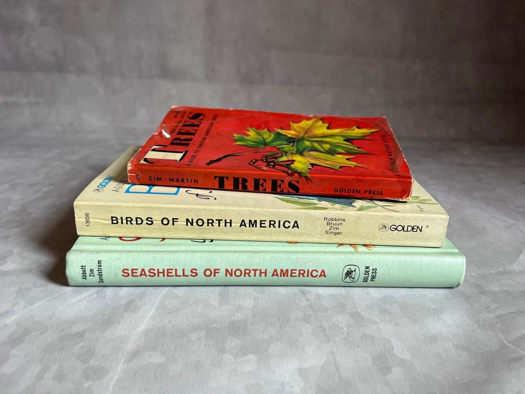 Set of 3 Field Guide Books Trees, Seashells and Birds 1960s - Etsy