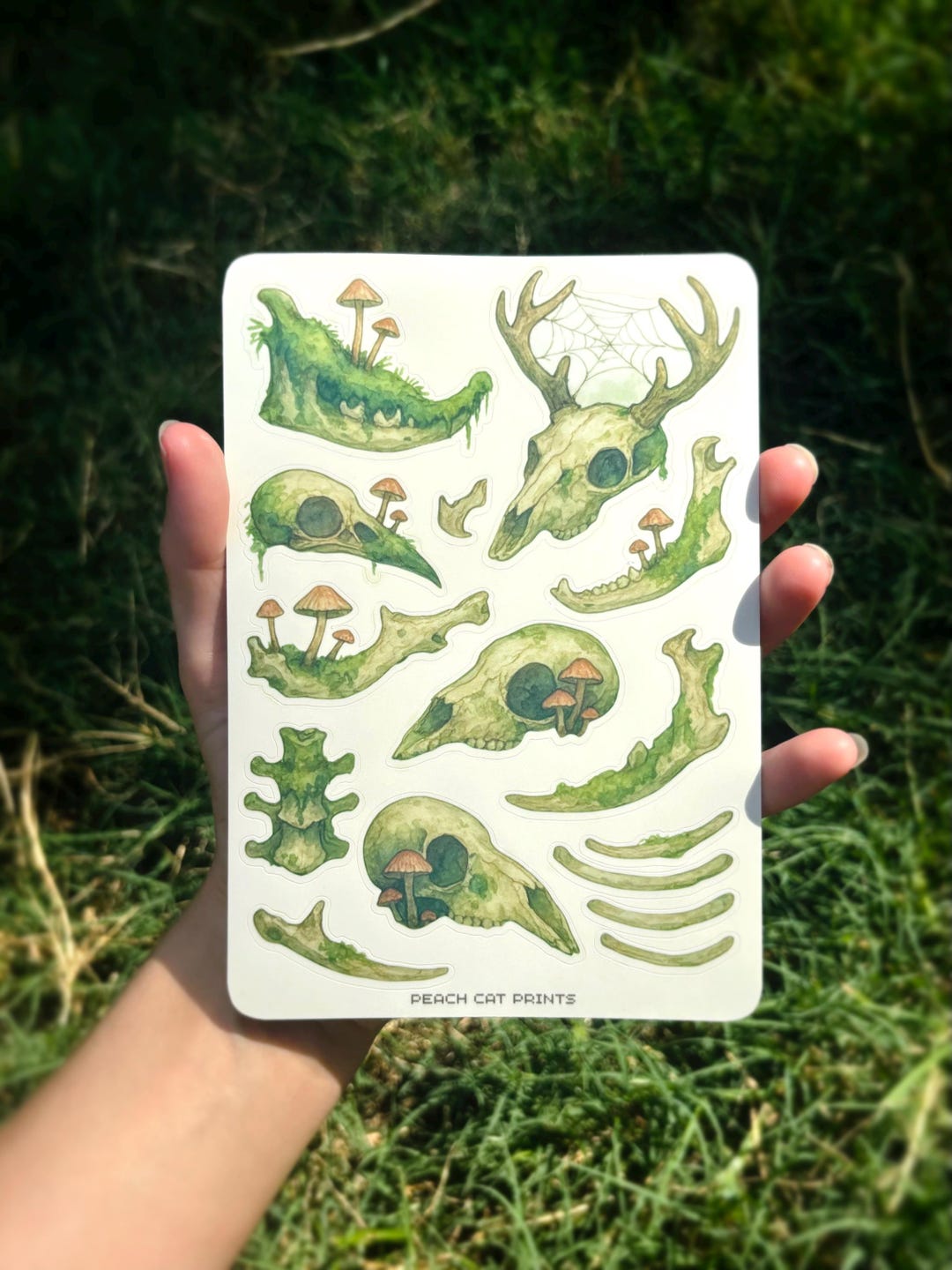 Animal Bones Sticker Sheet - Moss Covered Bones Sticker Sheet, Oddity ...