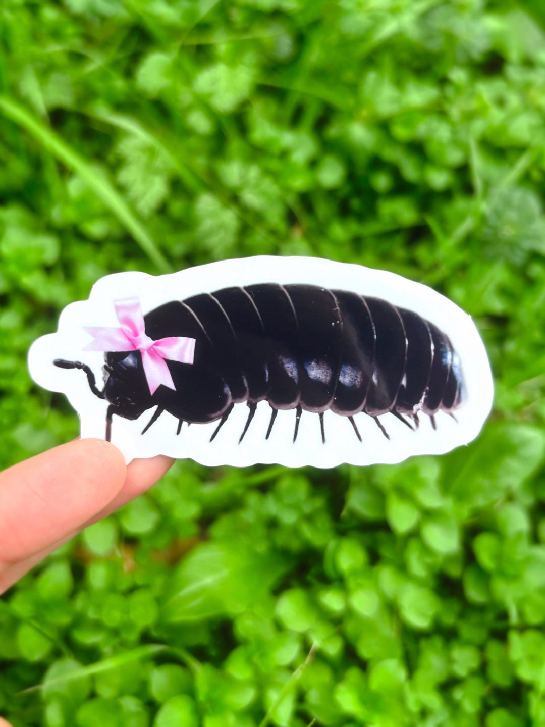 Coquette Roly Poly Sticker - Cute Isopod Sticker, Rollie Pollie Sticker ...