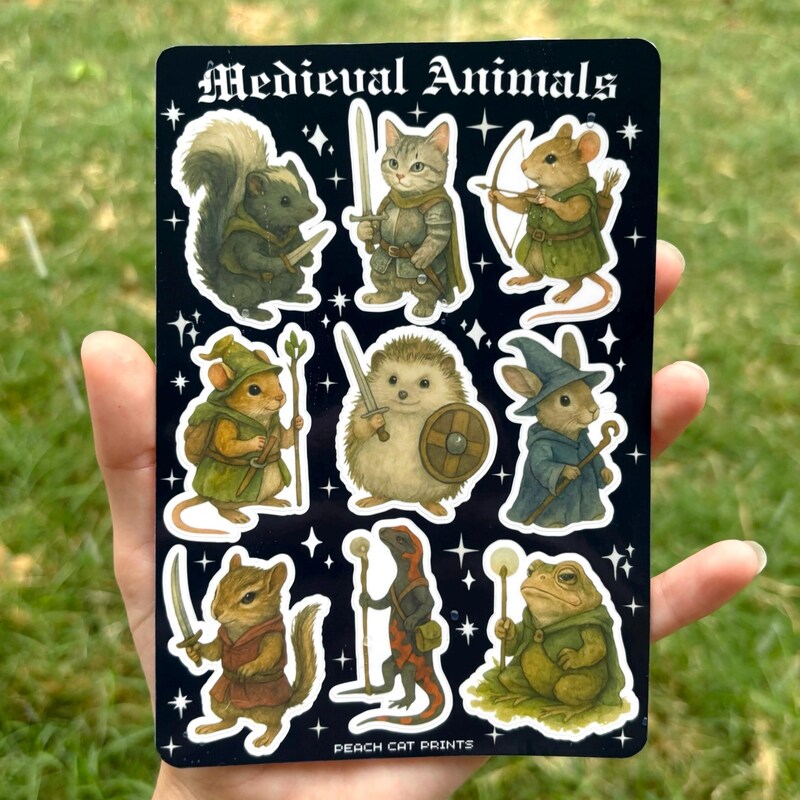 Medieval Rogue Knight - Etsy