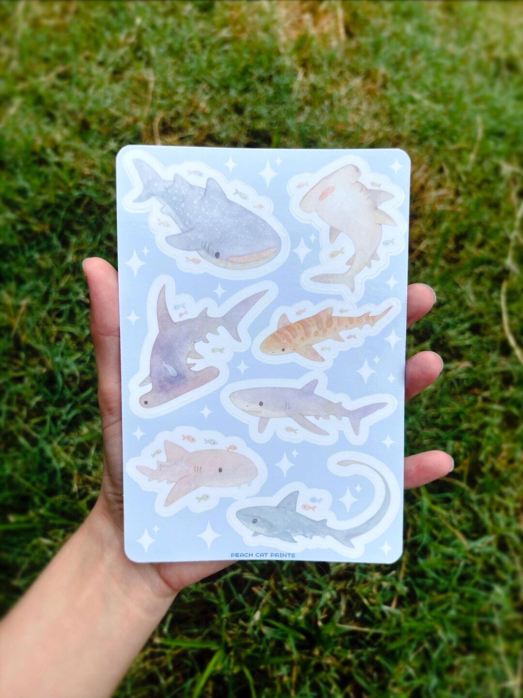 Cute Shark Sticker Sheet - Mini Shark Stickers, Ocean Stickers, Marine ...
