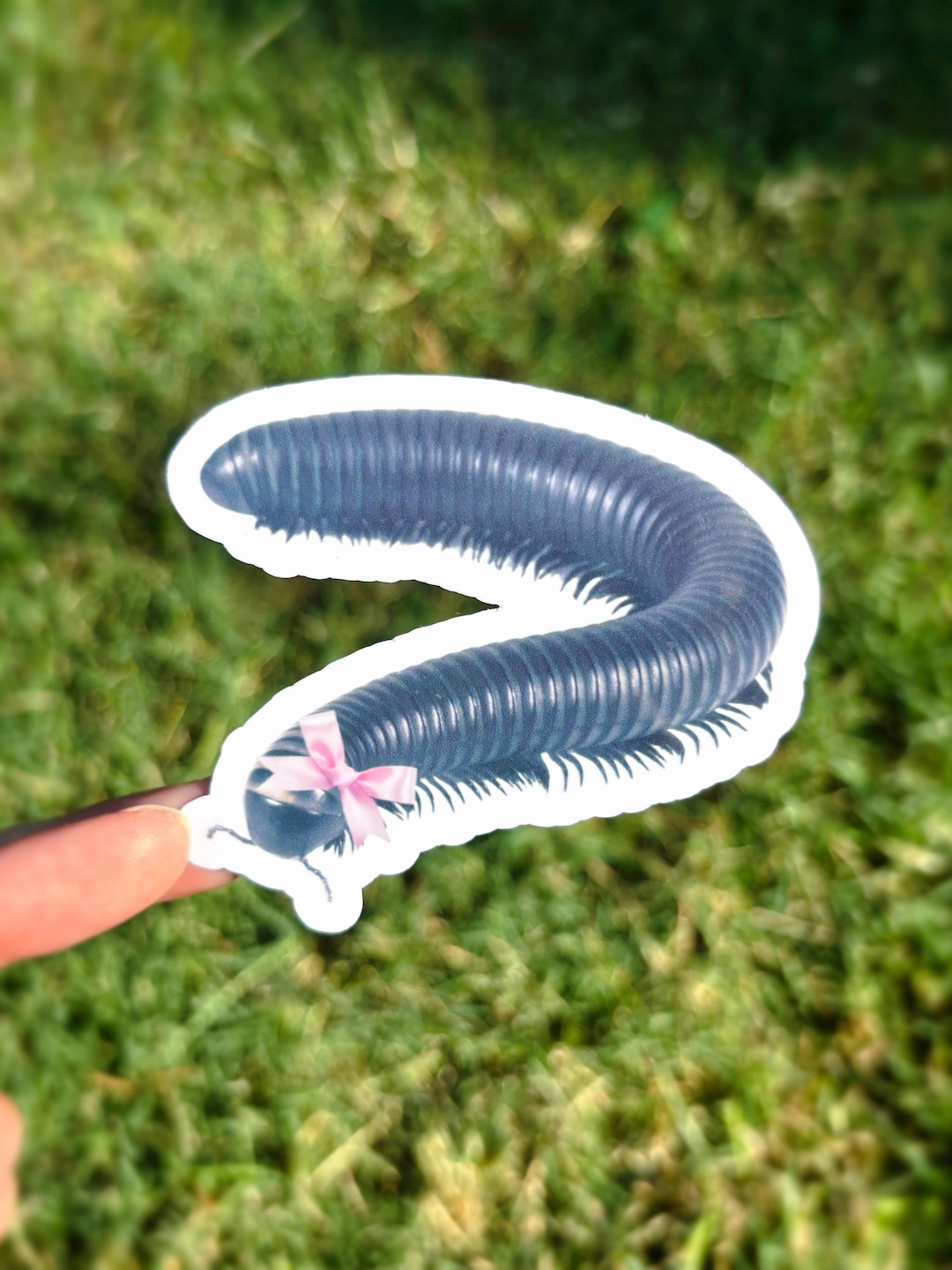 Coquette Centipede Sticker - Creepy Cute Insect Sticker, Cute Centipede ...