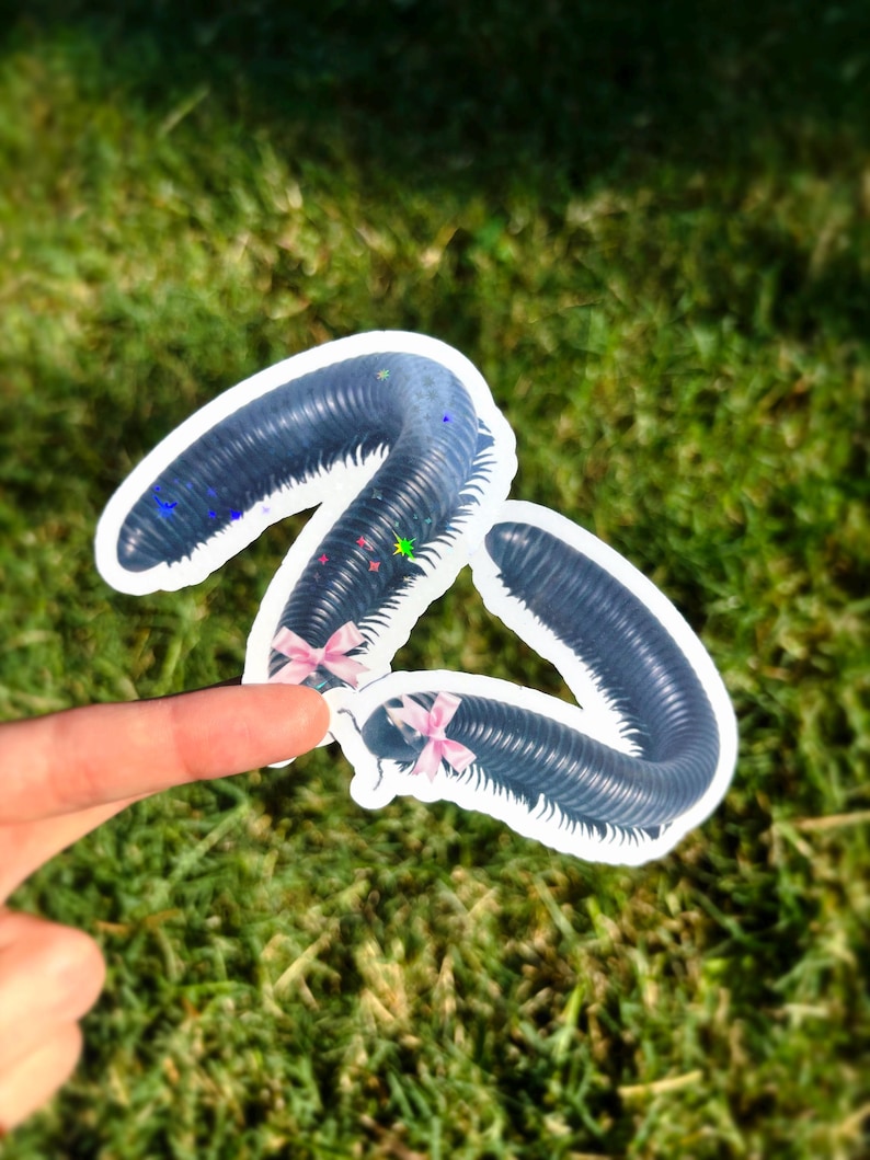 Coquette Centipede Sticker - Creepy Cute Insect Sticker, Cute Centipede ...
