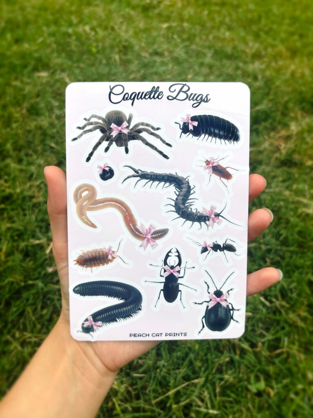 Coquette Bugs Sticker Sheet - Creepy Cute Insect Sticker Sheet, Cute ...