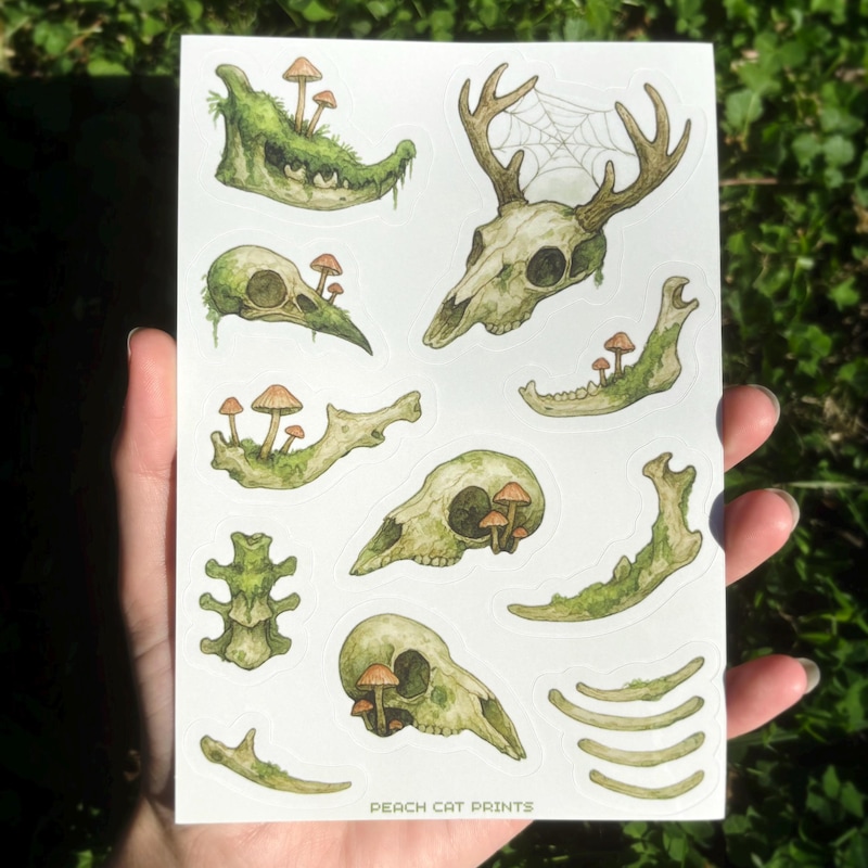Oddities Sticker Sheets - Etsy