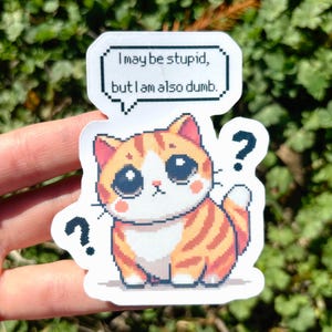 Dumb Orange Cat Sticker Cute Holographic Cat Sticker, Stupid Tabby Cat ...