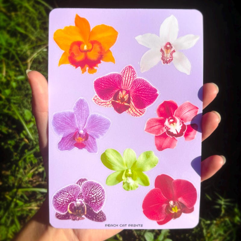 Orchid Stickers Pack - Etsy
