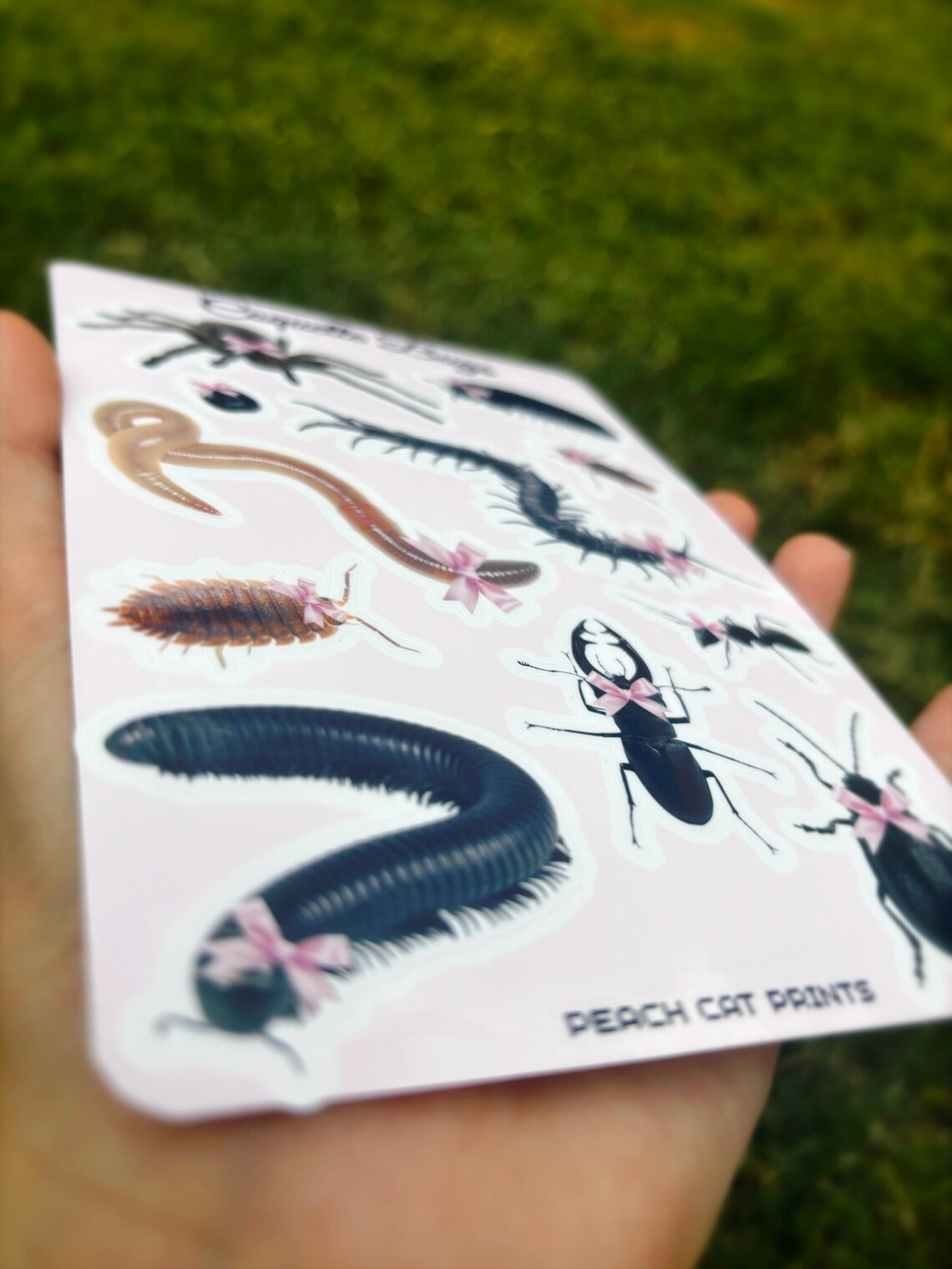 Coquette Bugs Sticker Sheet - Creepy Cute Insect Sticker Sheet, Cute ...