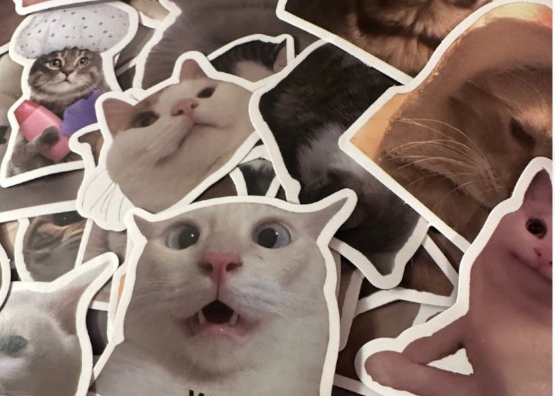 Funny Cat Meme Stickers: Waterproof PVC Decals for Laptop, Water Bottle ...