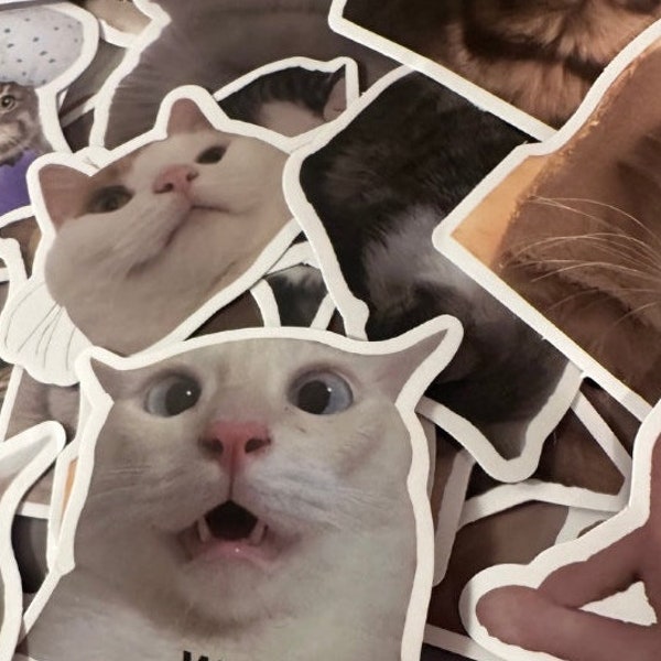 Cat Meme Stickers - Etsy