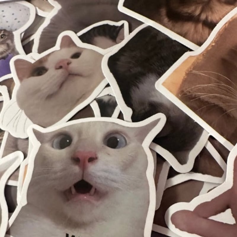 Cat Stickers Funny - Etsy