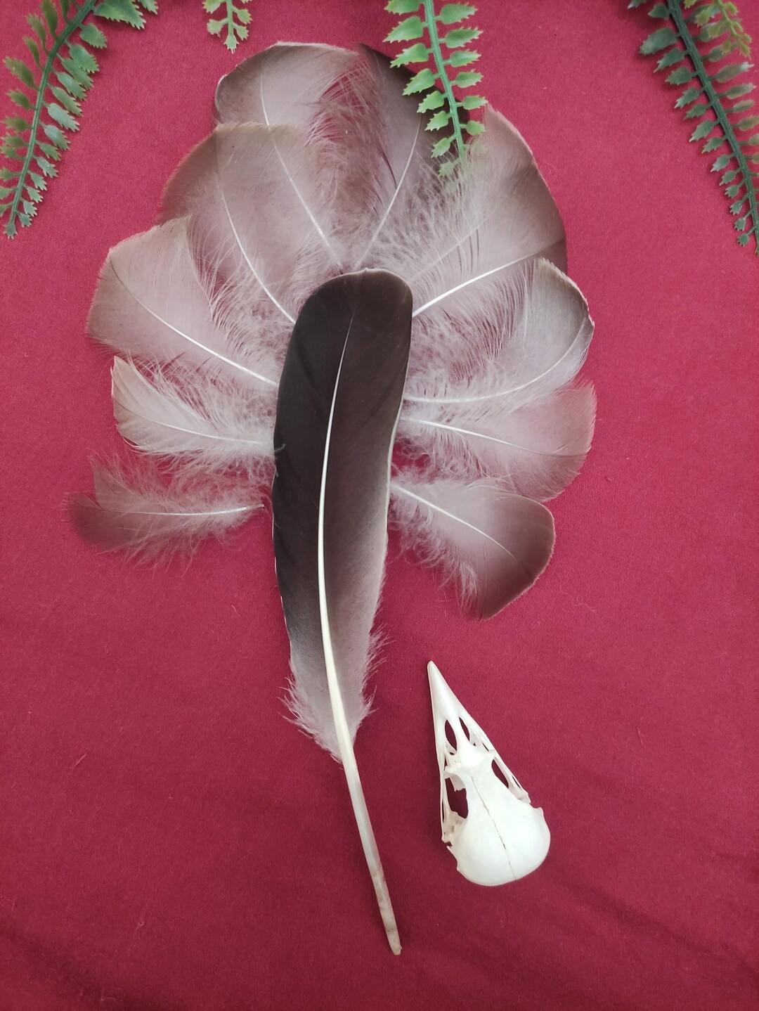 20cm Greylag Goose Feather With Down Feathers - Etsy