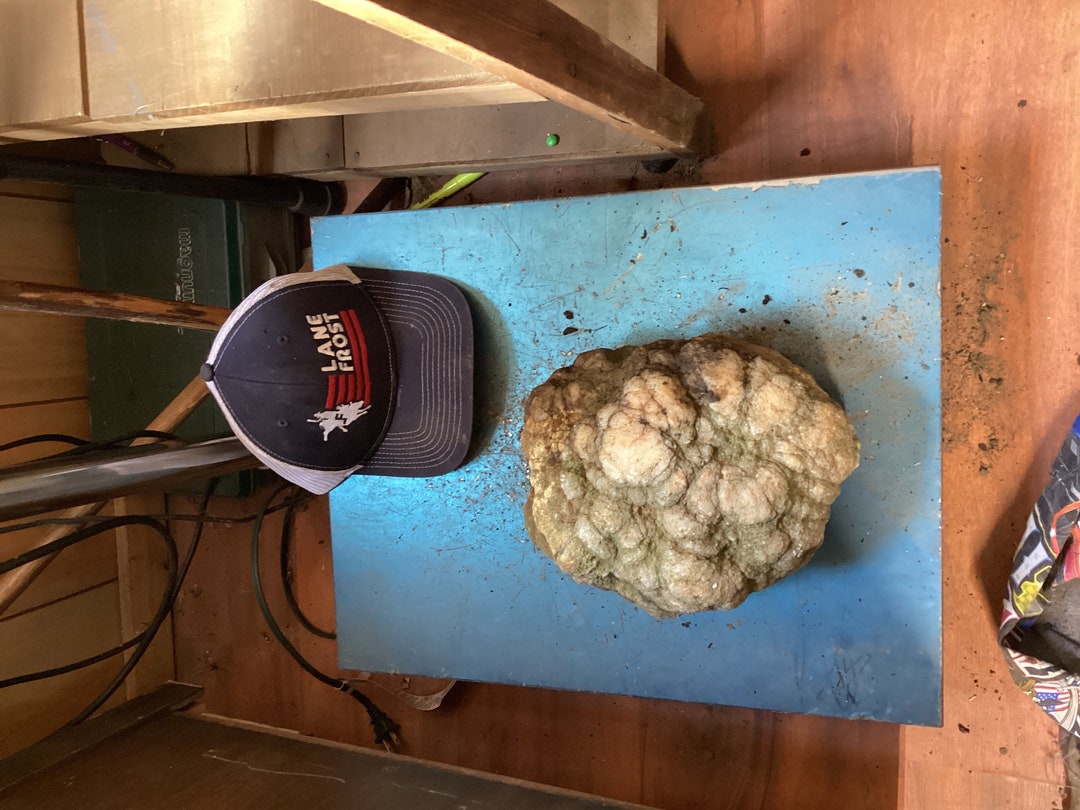 HUGE Beautiful Indiana Geode! 16pound Beauty ! Crystals ,unopened ...