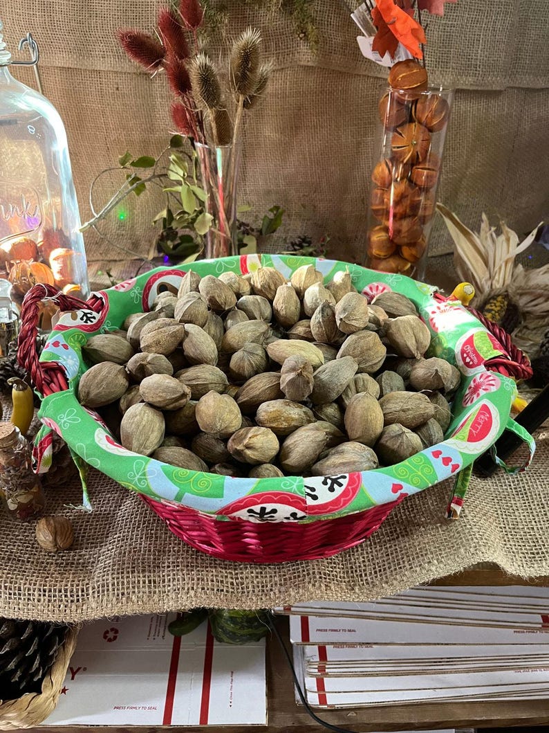 Natural Hickory Nuts in the Shell • Sold by the Pound • Rustic Country ...