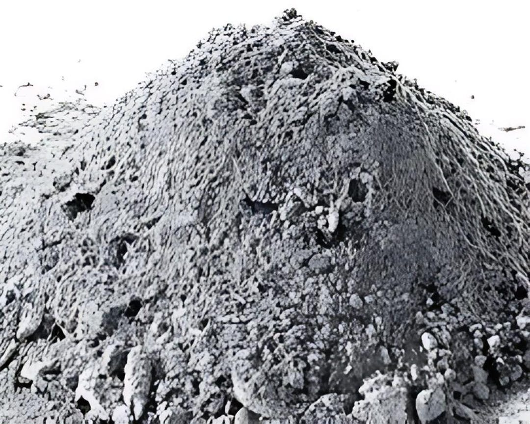 Quart Bag of Wood Ash! All Hardwood, Organic Fertilizer, Lye Soap, Pest ...