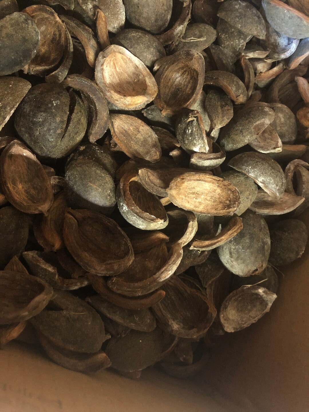 1 libra de cáscaras de nuez de nogal, parrilla, barbacoa - Etsy España