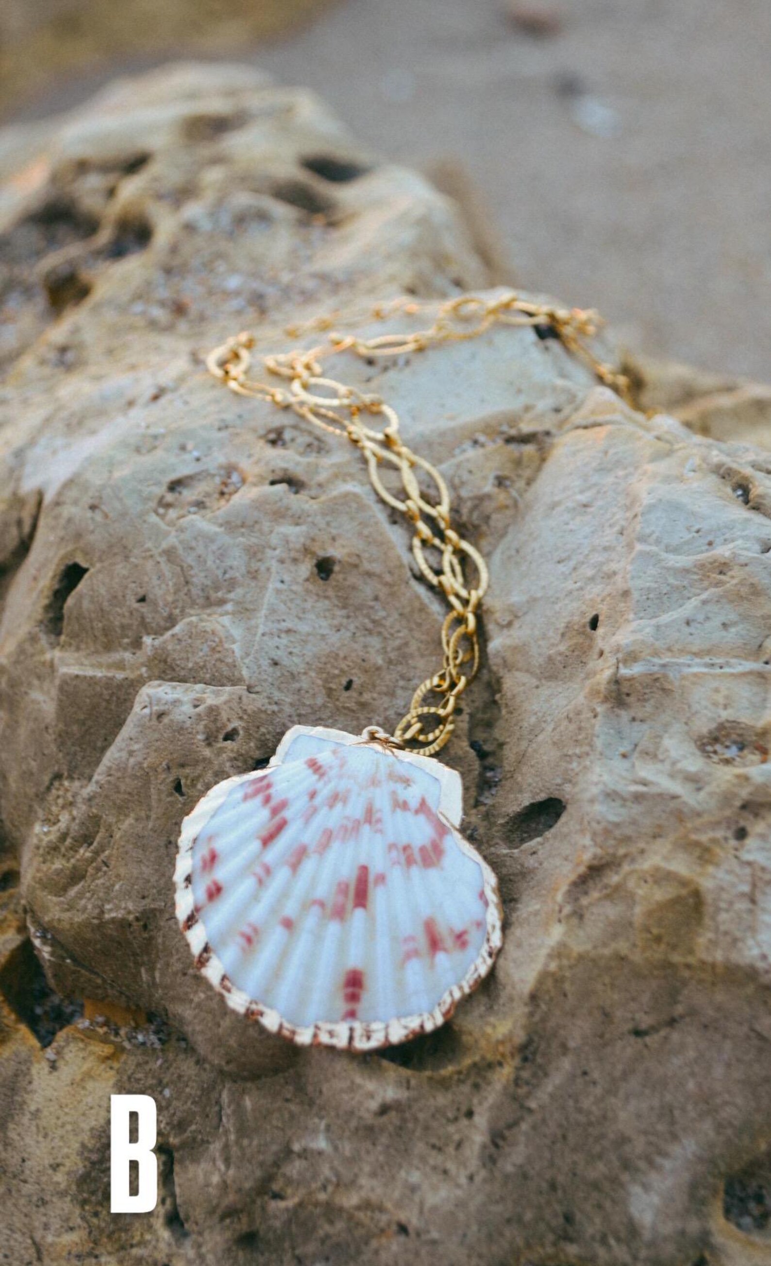 Gold Plated Scallop Shell Necklace - Etsy