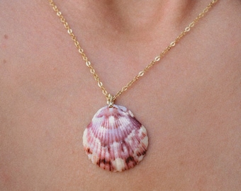 Colorful Scallop Shell Pendant on Cord Necklace extra Small, Small ...