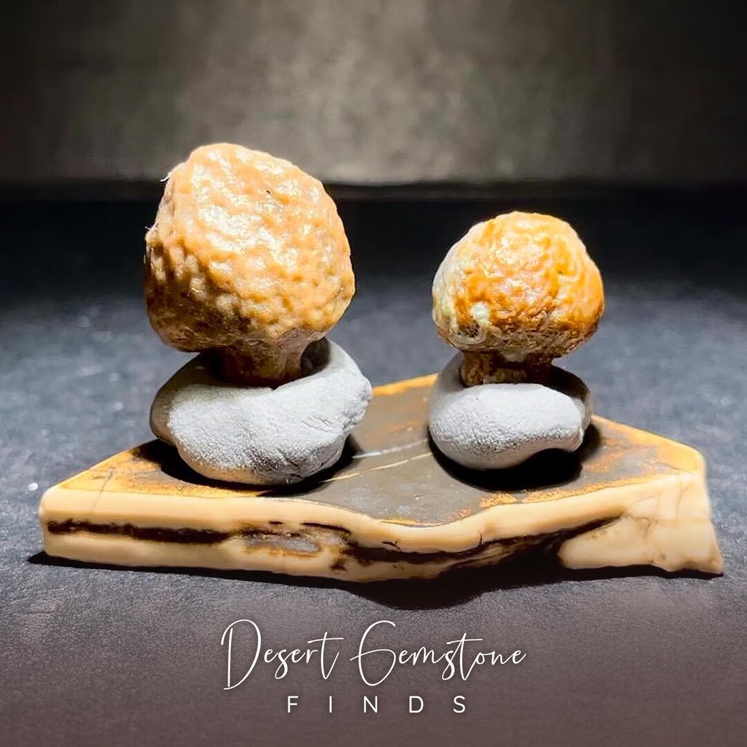 Alxa Gobi Desert Vein Agate Set - Natural and Unique Mushroom Shaped ...