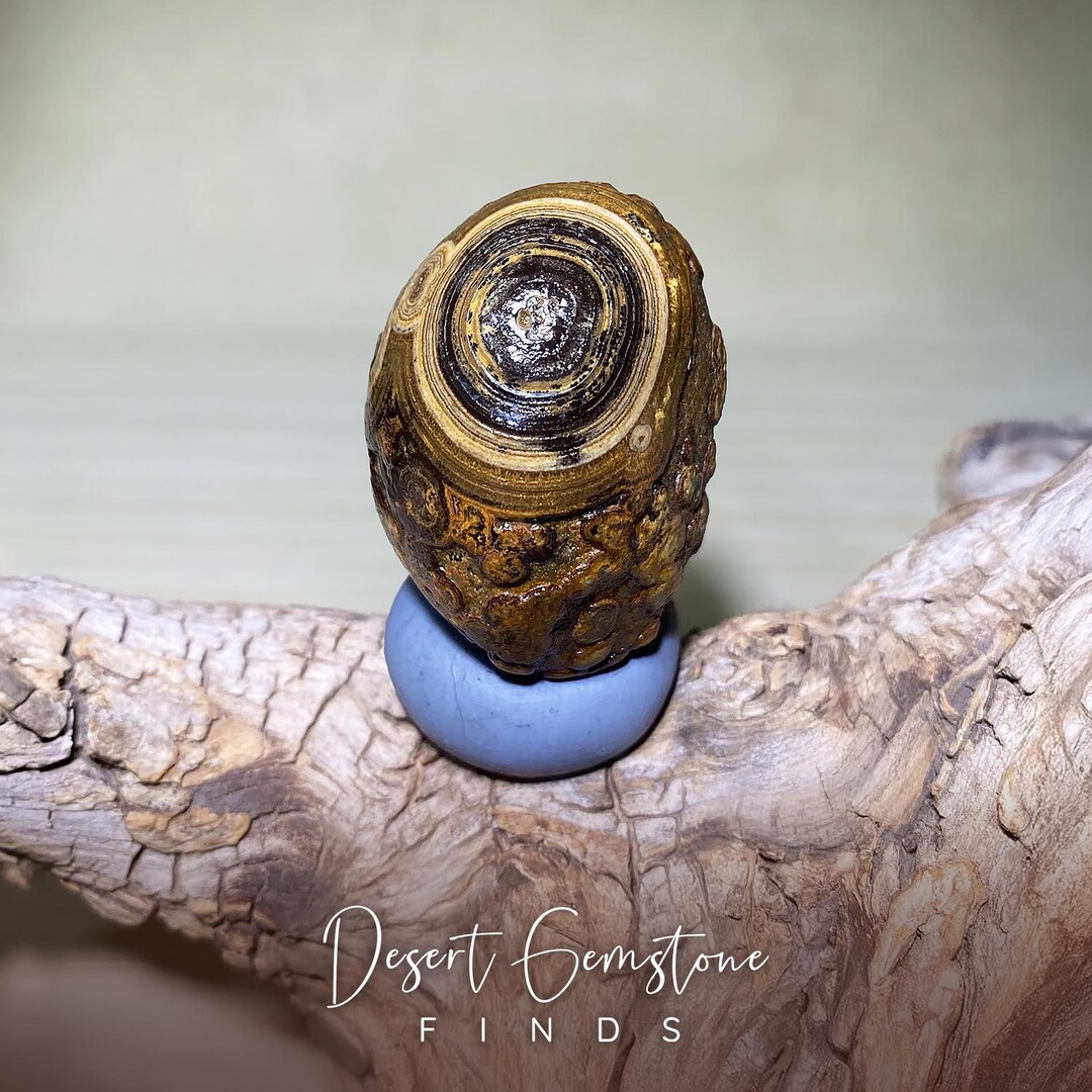 Alxa Gobi Agate From Chifeng– Natural Gold Color With Banded, Orbicular ...