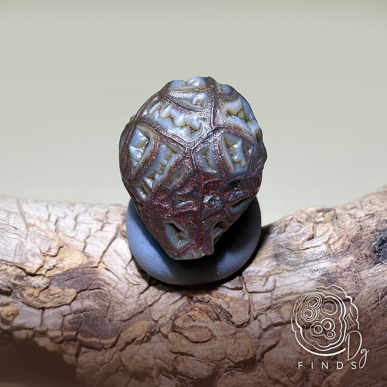 Alxa Gobi Desert Early Vein Agate – Rare Natural Mongolian Stone With ...