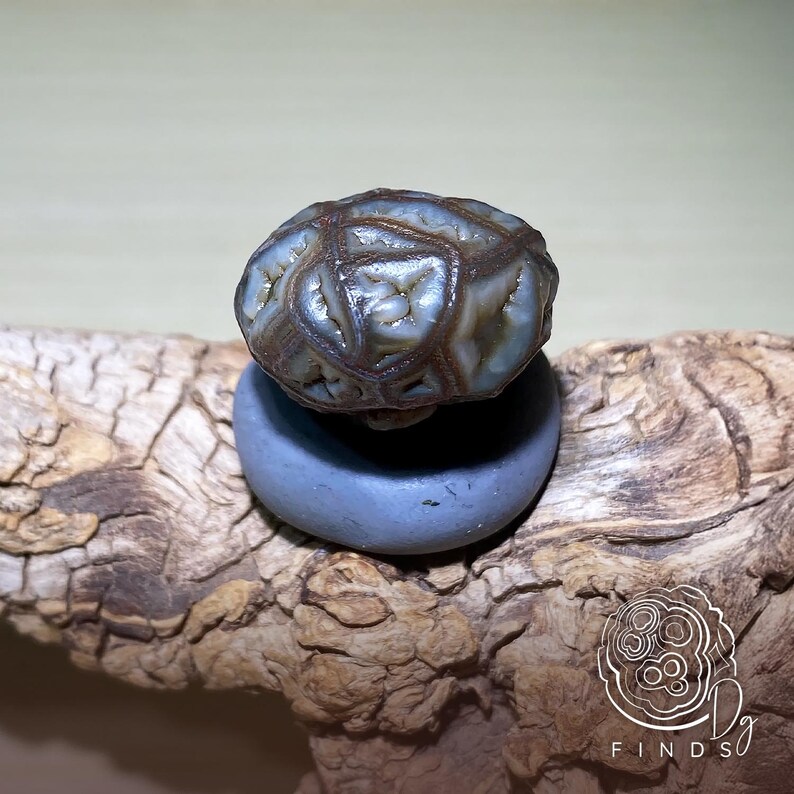 Alxa Gobi Desert Early Vein Agate – Rare Natural Mongolian Stone With ...