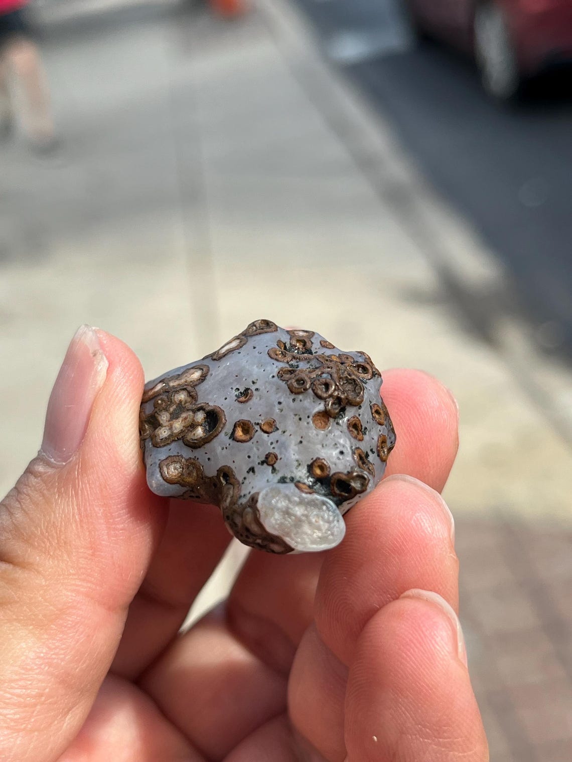 Alxa Gobi Desert Agate, Mongolian Gobi Eye Stone, Rough Eye Agate ...