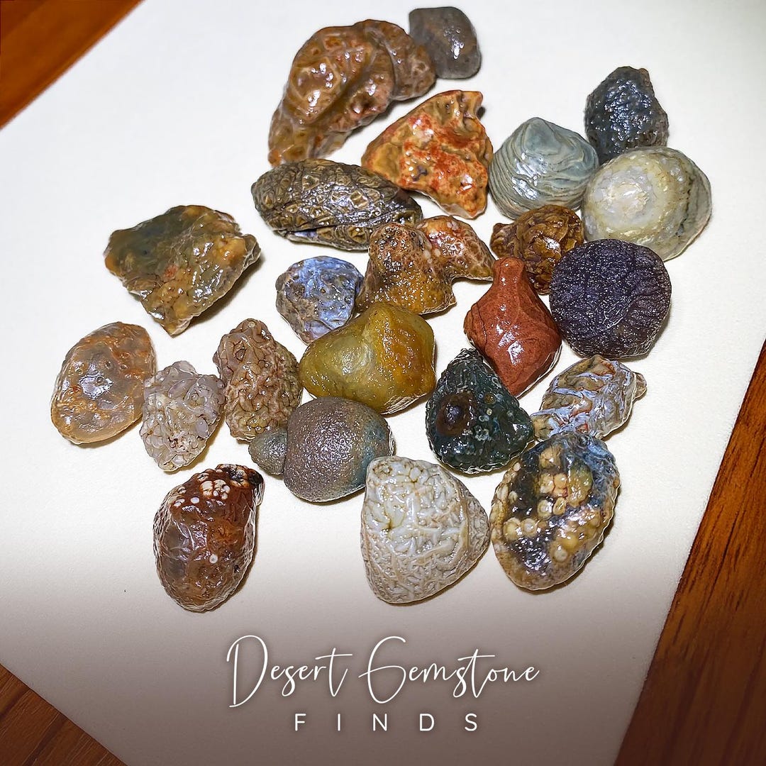 Alxa Gobi Desert Vein Agate Collection – Assorted & Rare Natural ...