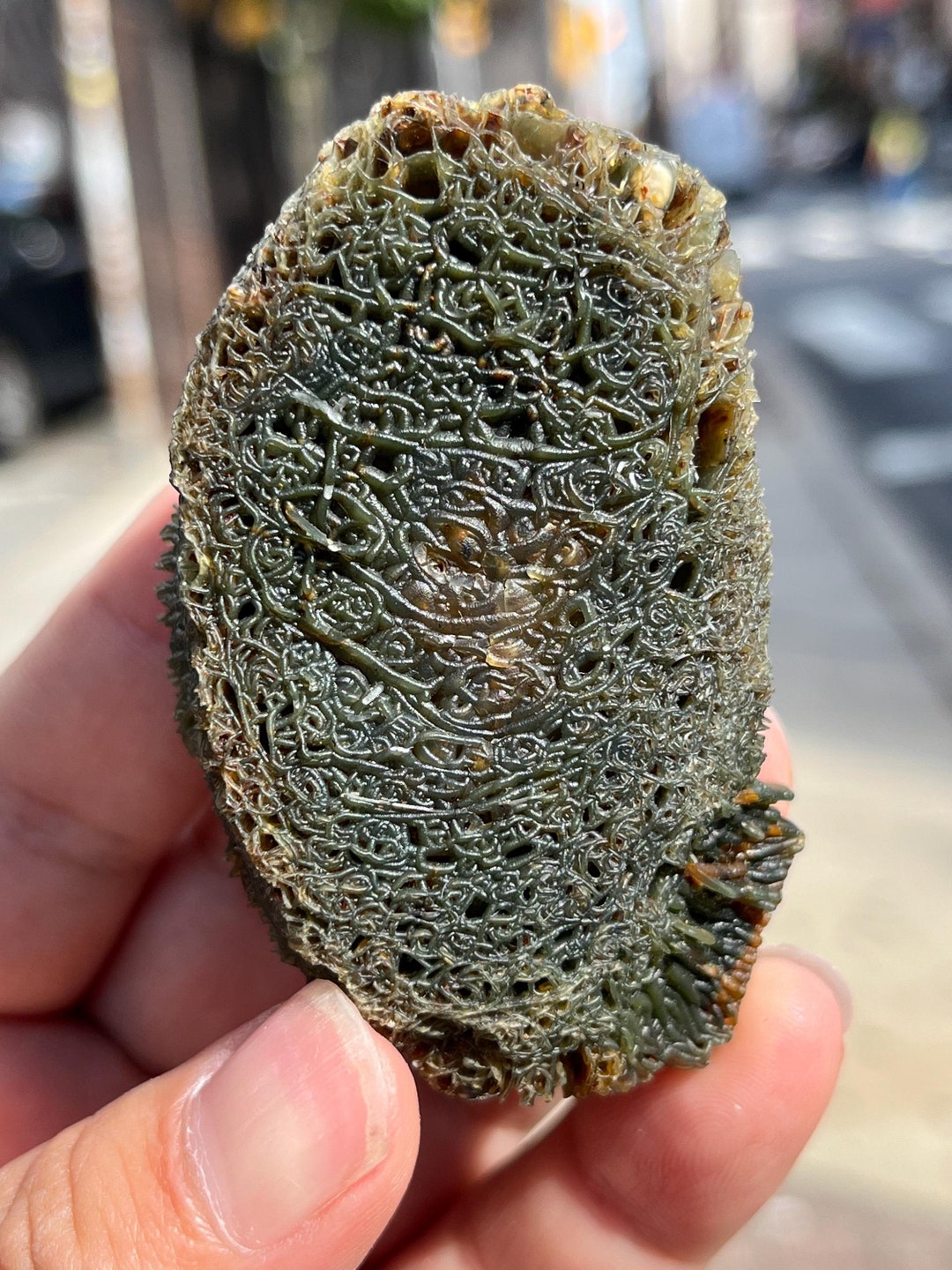 Alxa Gobi Stone – Natural and Rare Agatized Fossil Coral With Green ...