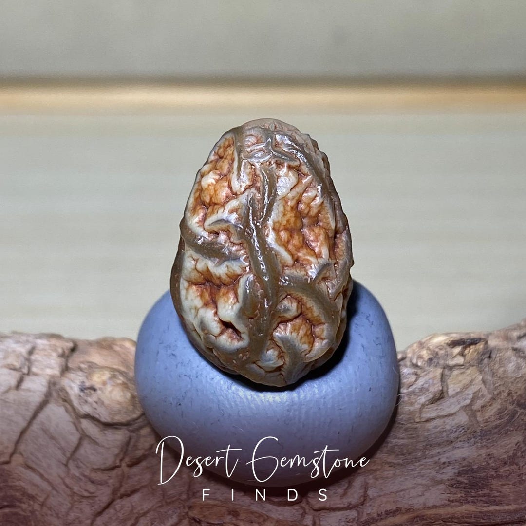 Alxa Gobi Desert Vein Agate – Unique Natural Stone With Intricate Brain ...