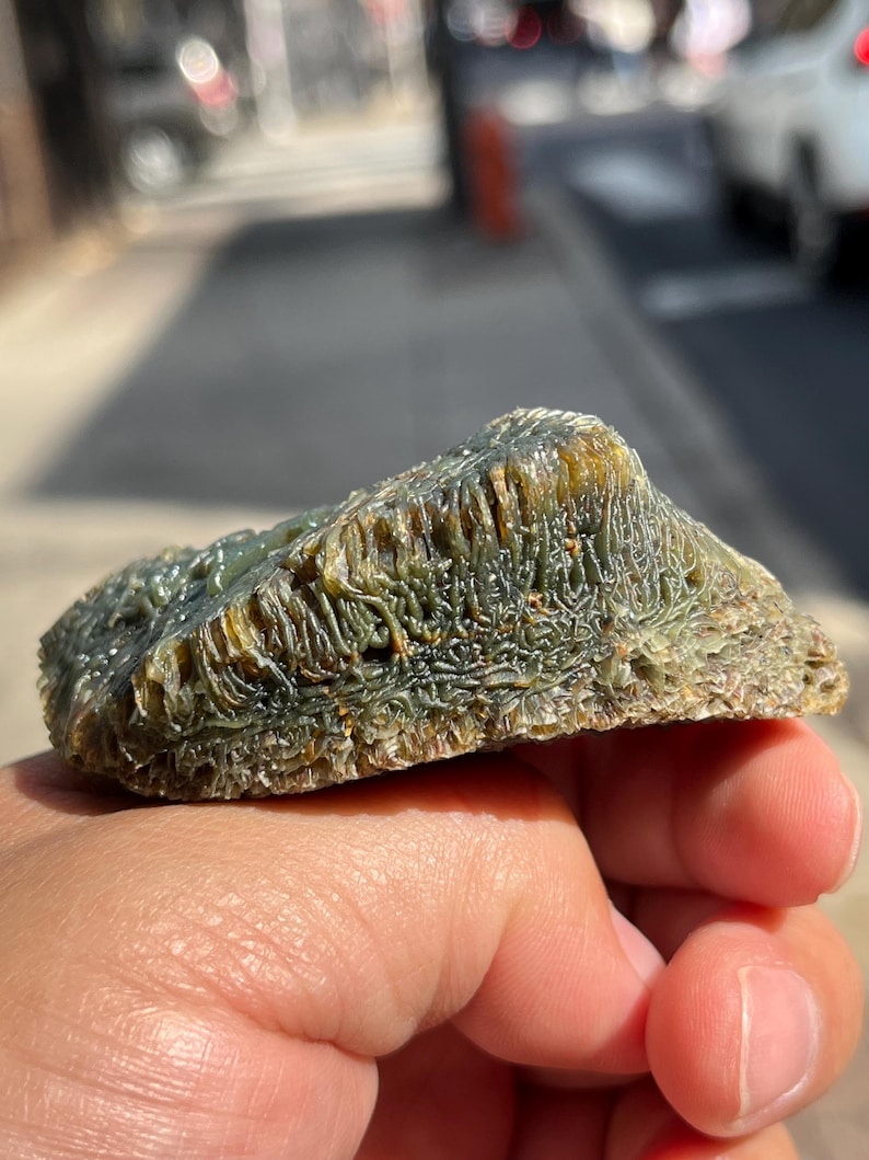 Alxa Gobi Stone – Natural and Rare Agatized Fossil Coral With Green ...