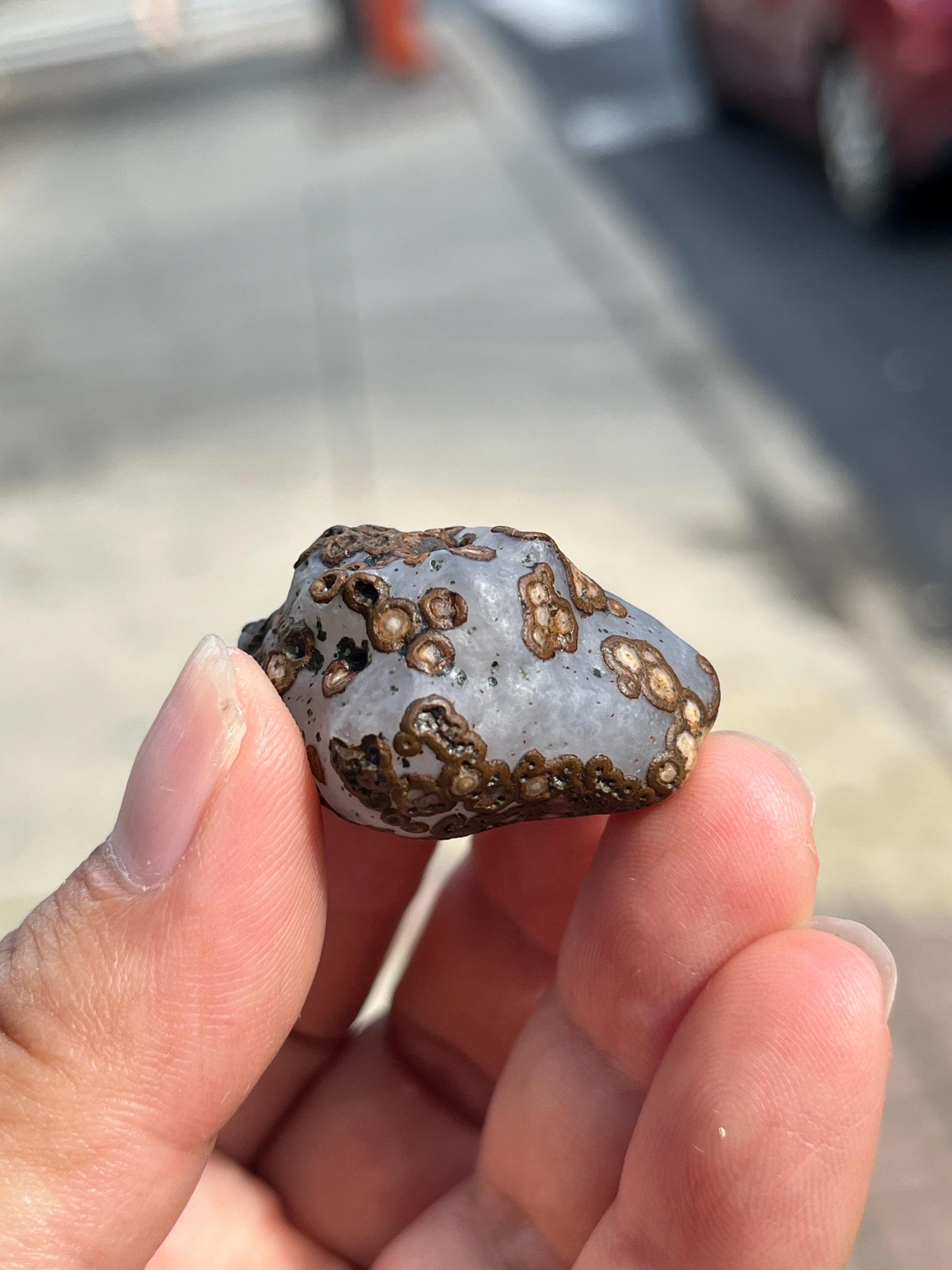 Alxa Gobi Desert Agate, Mongolian Gobi Eye Stone, Rough Eye Agate ...